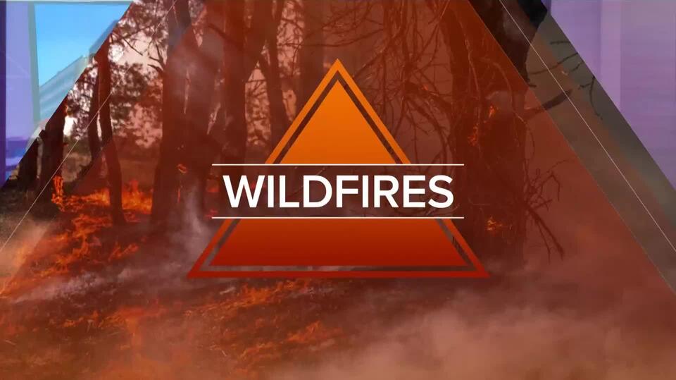 Wildfire Update - NewsBreak