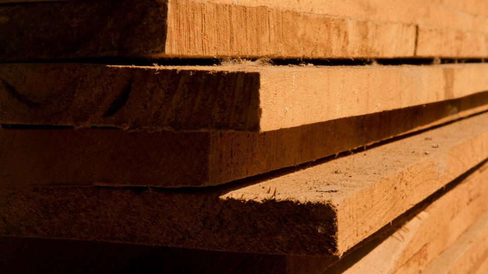 10 types of wood you should never burn because of toxic smoke - NewsBreak