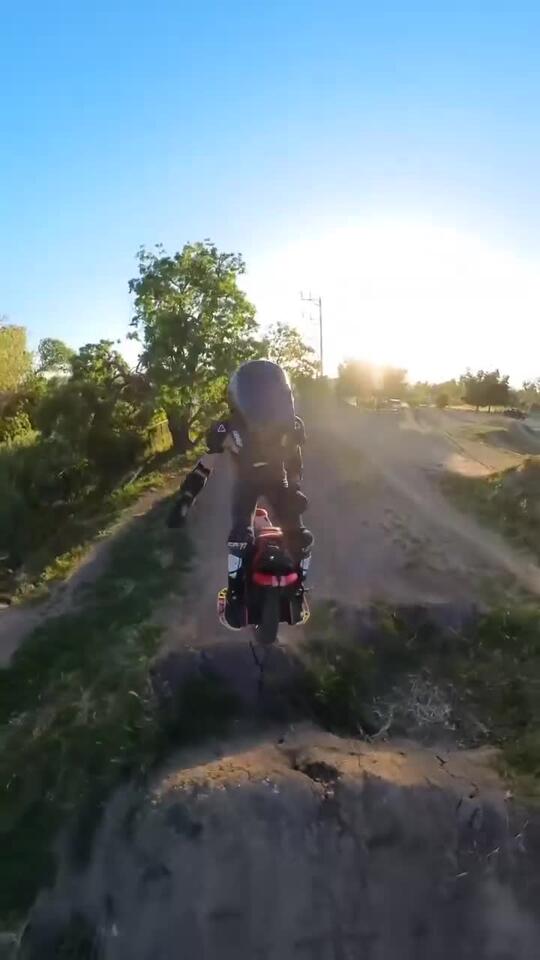 Yeah everything just fell afv - NewsBreak