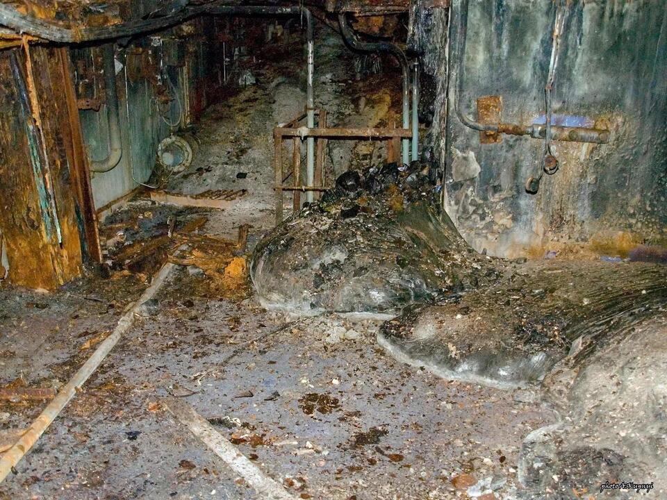 10 Strangest Discoveries at Chernobyl - NewsBreak