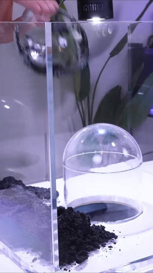 I Built a Viewing Dome in my Fish Tank 🤯 #fishtok - NewsBreak