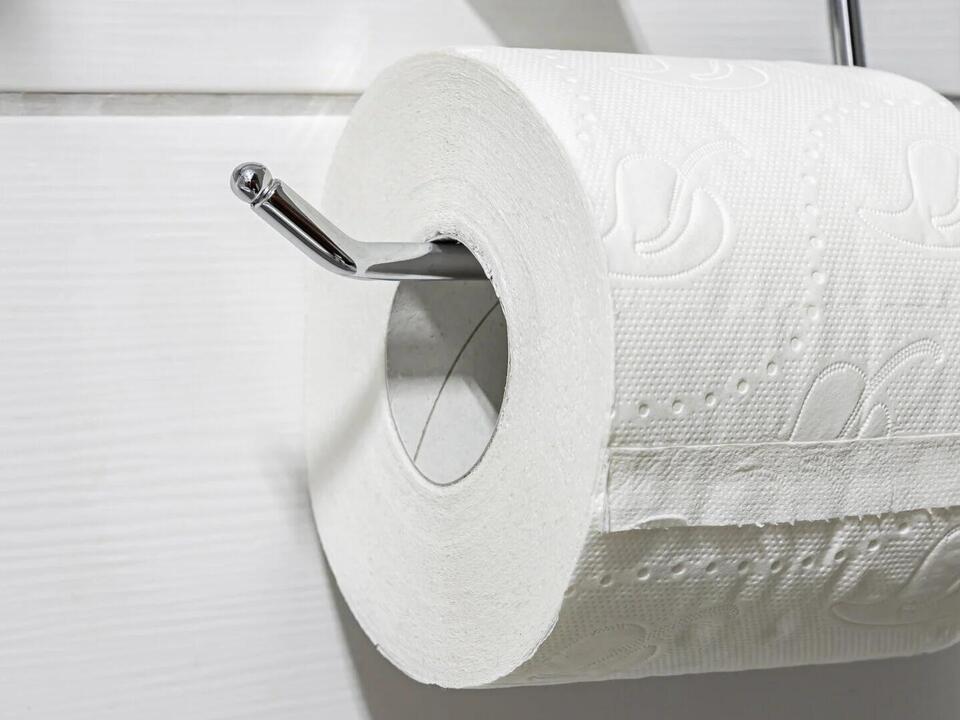 Are Your Poops Just Right? Scientists Reveal What Makes a Healthy ...