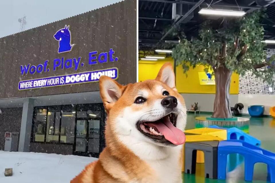 Portland, Maine’s First Dog Bar Has Opened Its Indoor Dog Park, With ...