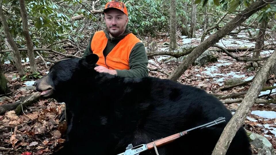 With rifle season soon getting underway, here's how many bears were ...