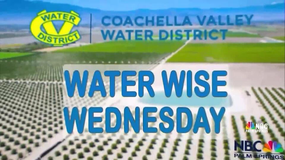 Water Wise Wednesday: Tips for Conserving Water in Your Garden - NewsBreak
