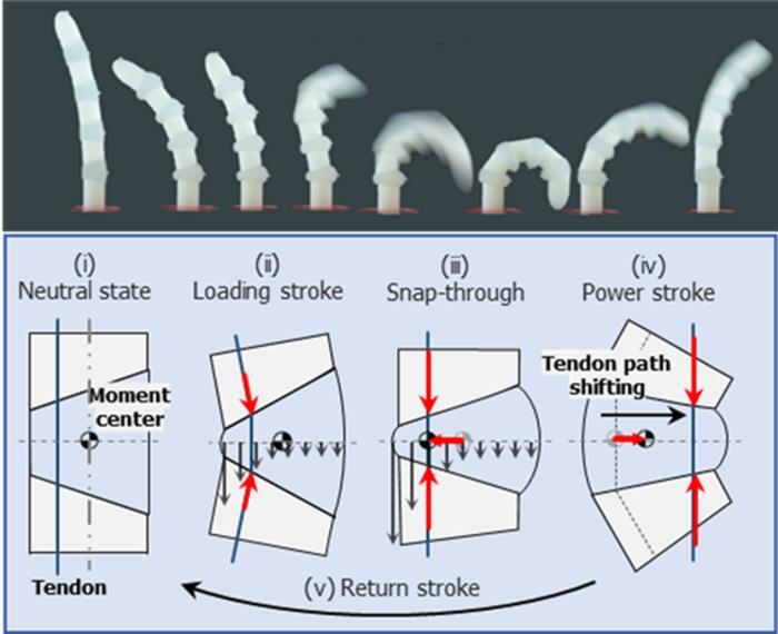 SNU researchers apply the principles of mantis shrimp and fleas to ...