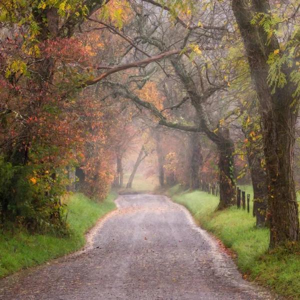 What Is a Holler and Why Do the Mountain People Say It That Way ...