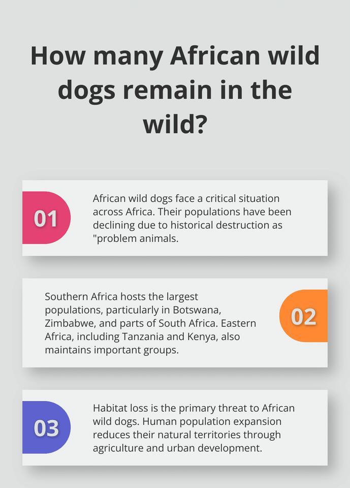 Latest African Wild Dog Conservation News - NewsBreak