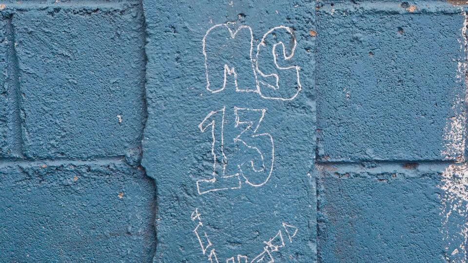 Feds say MS-13 gang leader arrested in Virginia - NewsBreak