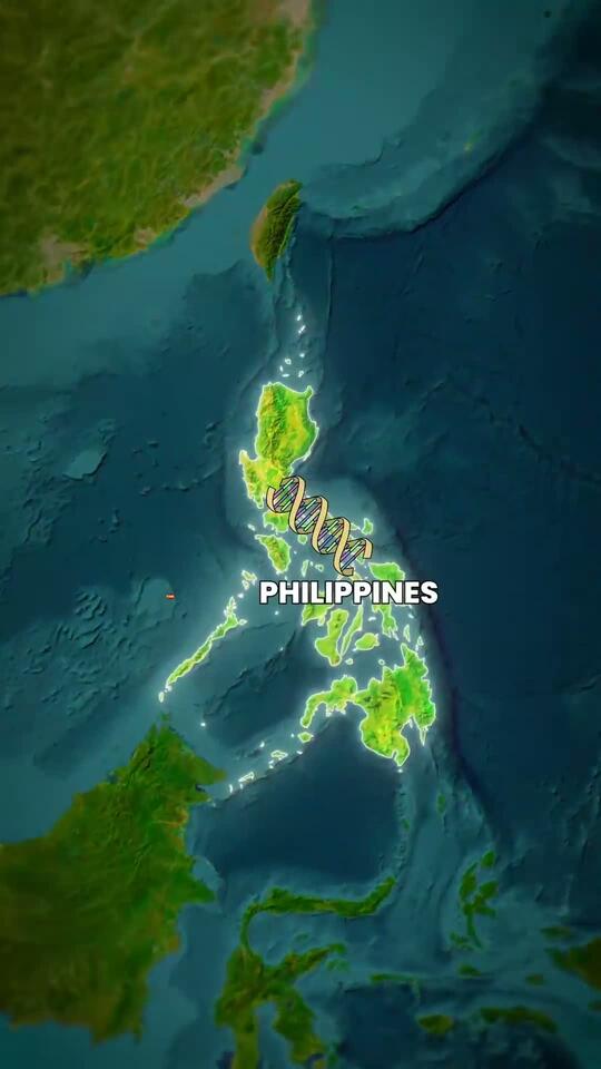 Filipino DNA 🧬 The Surprising Ancestral Mix You Didn't Expect! #fyp # ...