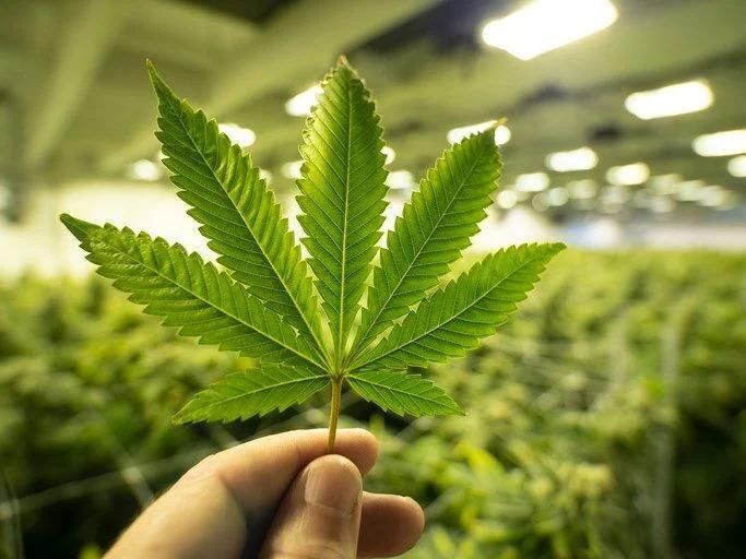 OneOhio Recovery Foundation announces $20 million campaign on marijuana ...