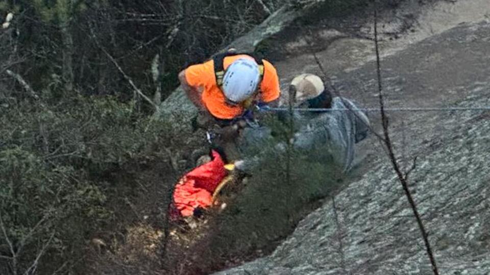 Stranded hiker rescued from 100 foot cliff ledge in Wolfe County ...
