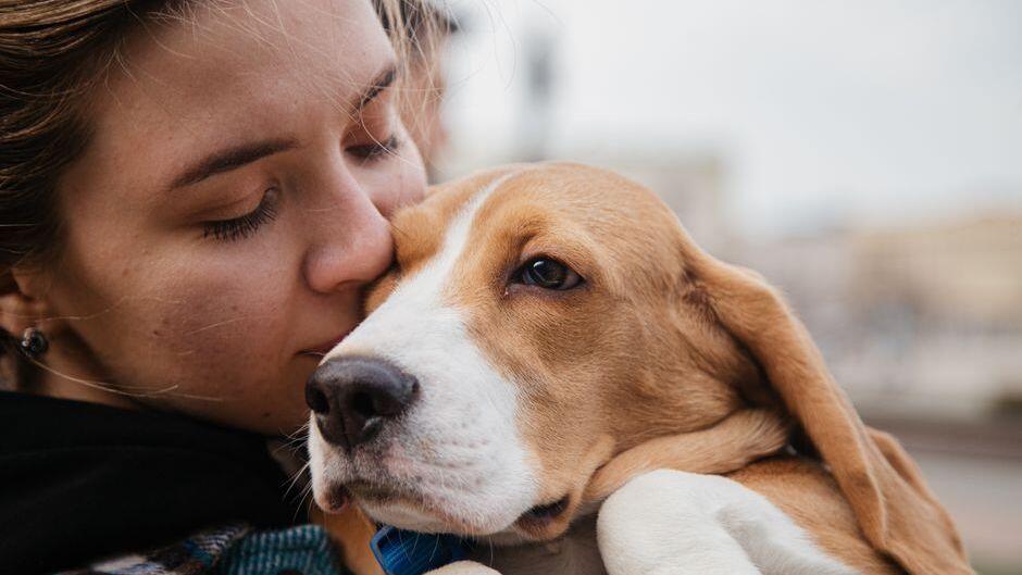 Psychology Says Dogs Remember Every Time You Cried in Front of Them and ...