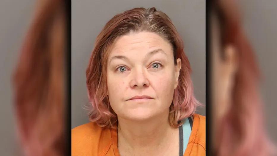 St. Pete woman wearing hot dog costume arrested after putting toilet ...