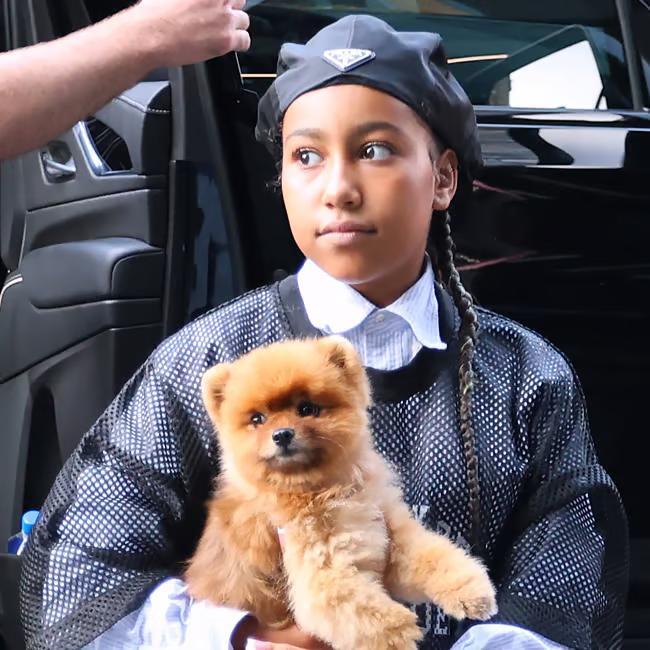 North West Debuts A Fake Nose Bridge Piercing Following Her 'Risky ...