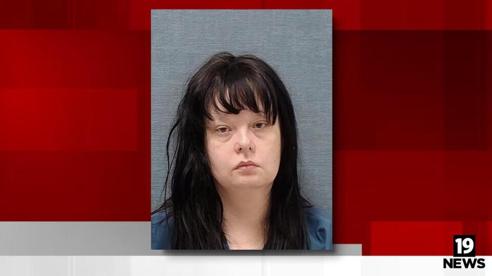 Canton man, woman plead guilty to animal cruelty charges - NewsBreak