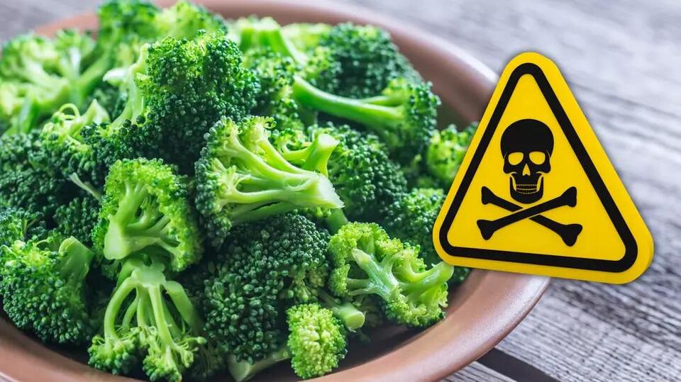 FDA Escalates Illinois Broccoli Recall – Now Says It Can Kill You ...