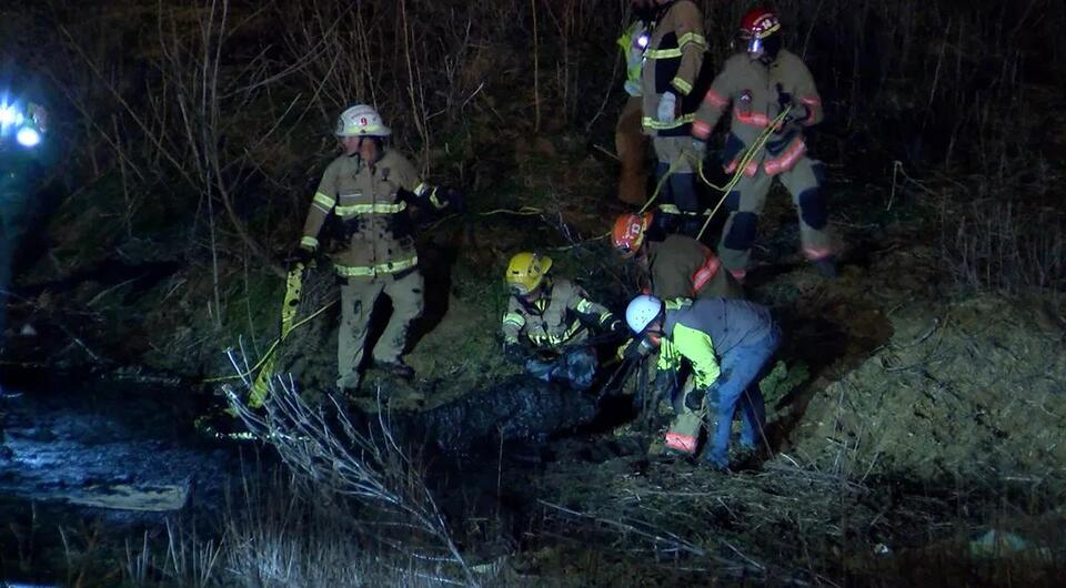 Boone County firefighters pull out 2 horses that were stuck in mud hole ...