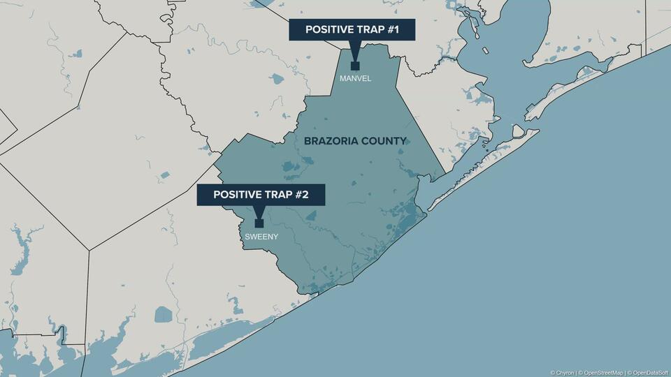 West Nile virus detected in Brazoria County mosquito traps - NewsBreak