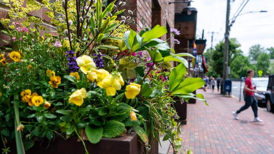 Warmer, dry weather returns to Bucks County this weekend - NewsBreak