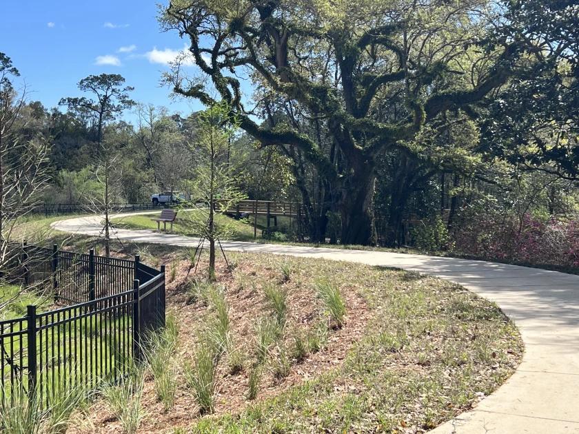Pensacola’s newest park restores wetlands at Carpenter Creek - NewsBreak