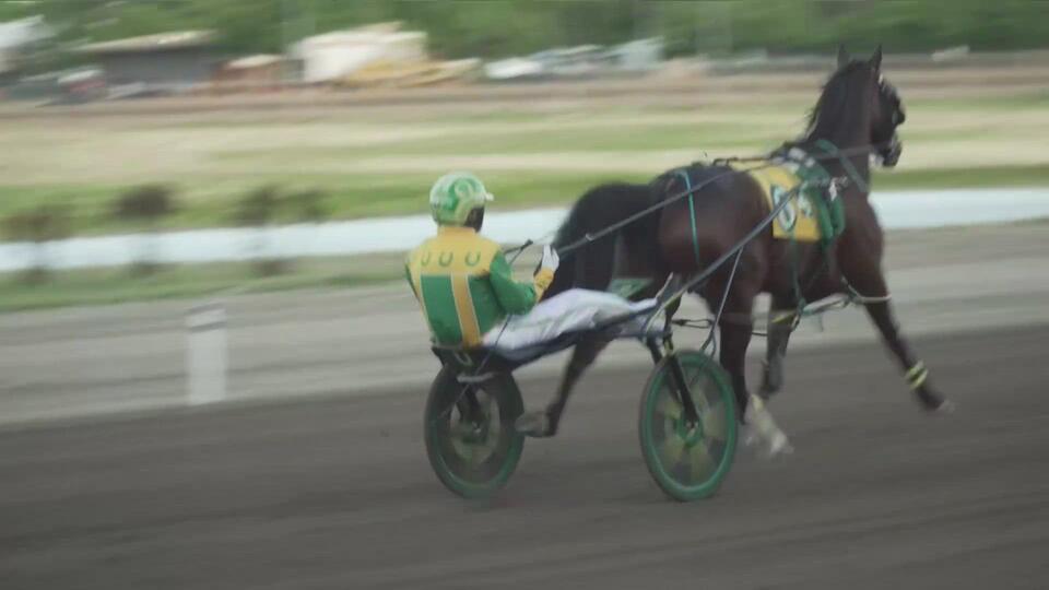 'Sad Day for Sacramento': Cal Expo Bids farewell to harness racing ...