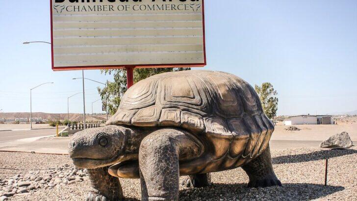 8 Ingenious Ways Animals Have Adapted to Survive Extreme Climates ...