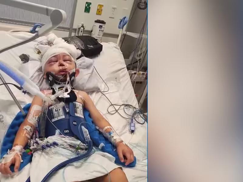 Child, 5, hospitalized in coma after hit by SUV while crossing street ...