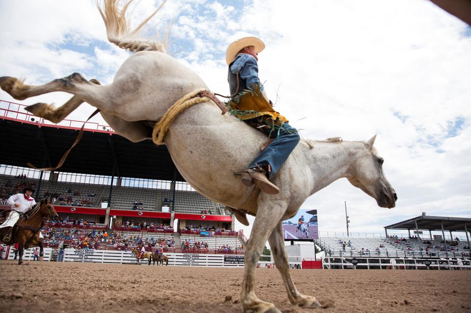 MSU-Northern Results – Miles Community College Rodeo - NewsBreak