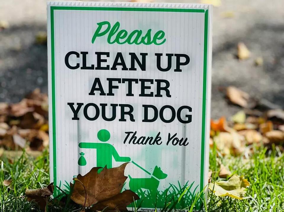 Consumer Reports Has Scoop on Brands to Pick up Louisiana Dog Poop ...