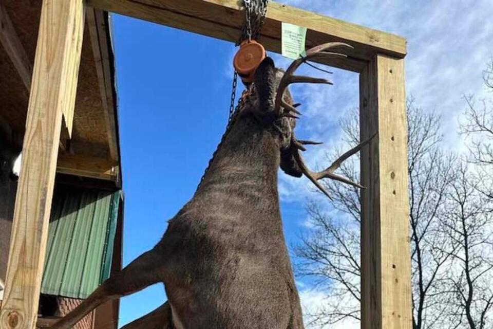 Maine’s heaviest deer of the 2025 season - NewsBreak