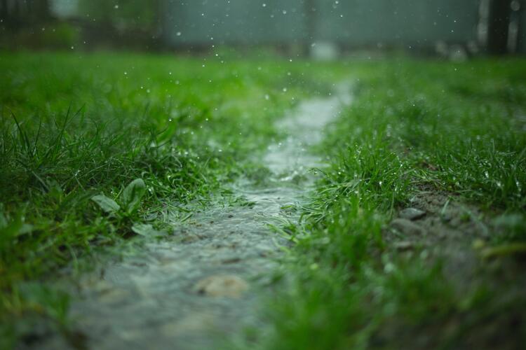 Tillar Daily Weather Forecast - NewsBreak