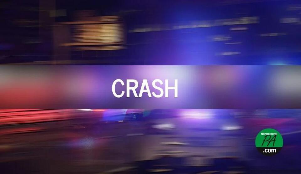 Coyote crossing road causes vehicle crash - NewsBreak