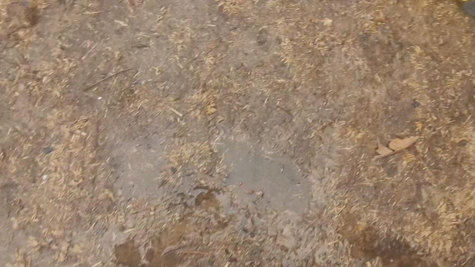 Redcross refused to help young woman after she looses her home and all ...