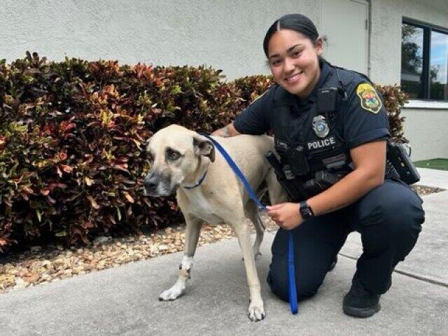 Clearwater firefighters rescue dog from house fire on Barbara Avenue ...