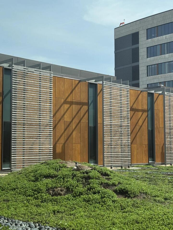 Meet Owensboro Health’s Feathered Frequent Flyer Icon, Gabby the Goose ...