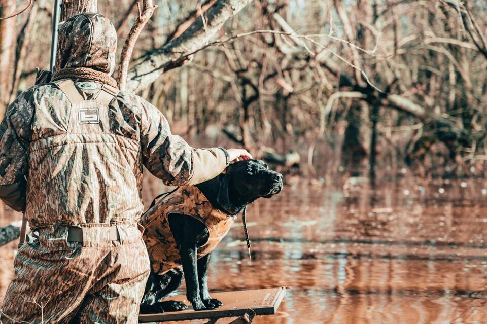 Understanding Utah's Hunter Education Requirements For New Hunters ...