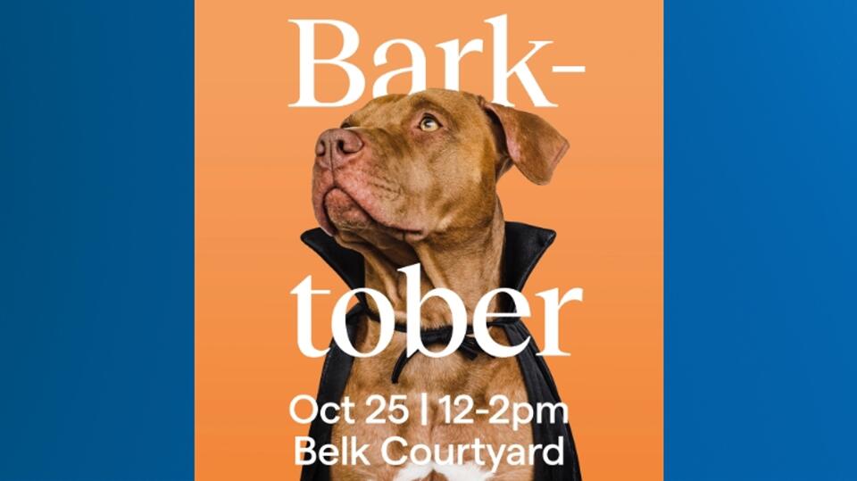 Bridge Street Town Centre hosts first-ever Barktober celebration - NewsBreak