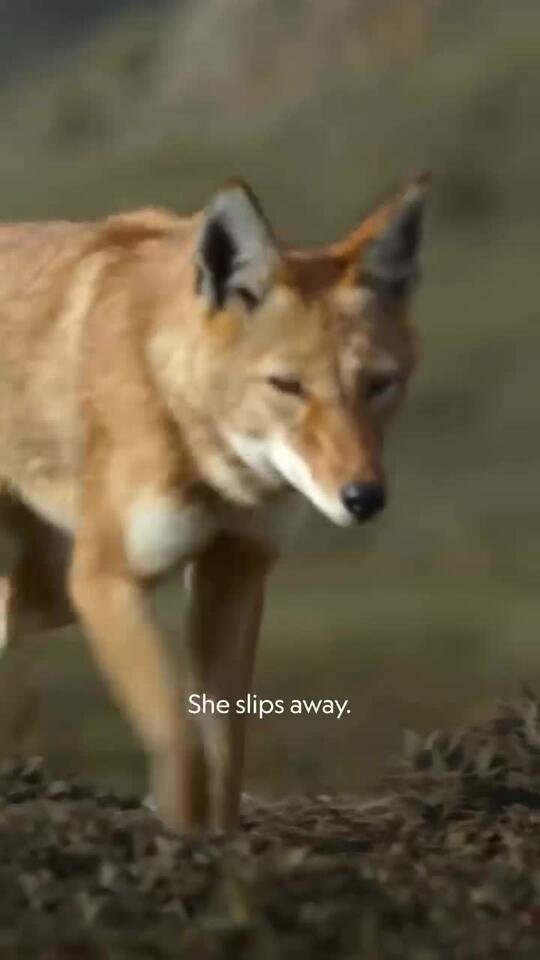 This queen is an unstoppable force of nature Hear Sias Courage to ...