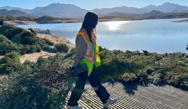 Gilbert's Christmas Tree Recycling Program Transforms Holiday Waste ...