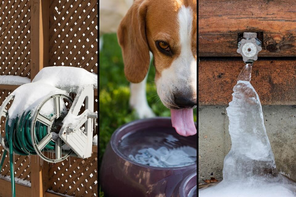 4 Things That Freeze Overnight In Colorado — And Easy Fixes - NewsBreak