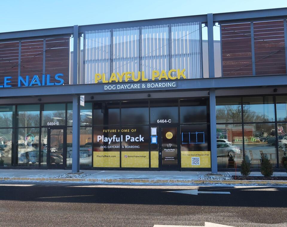 Dog daycare opens Monday in Barcroft Plaza - NewsBreak