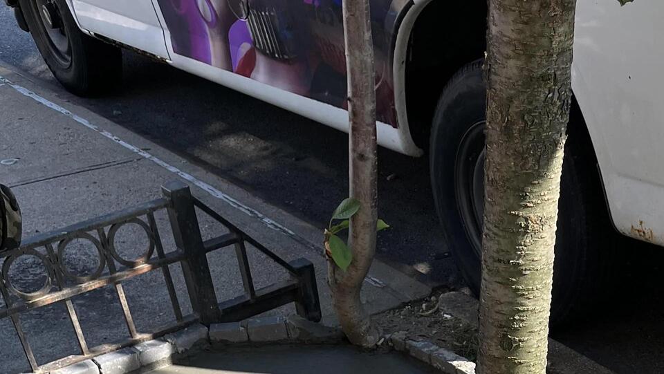 NYC resident sparks outrage with image of sidewalk blunder: 'What kind ...