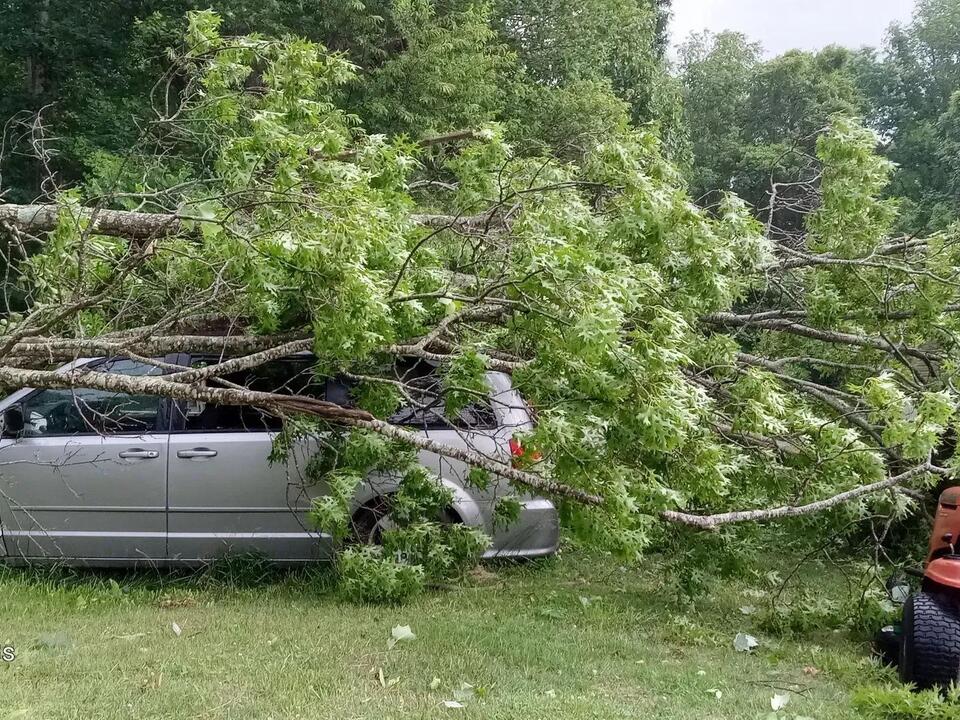 GALLERY: Severe storms cause damage in parts of Tri-Cities region