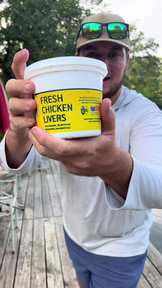 HOW TO use CHICKEN LIVERS as BAIT to catch CATFISH pondfishing ...