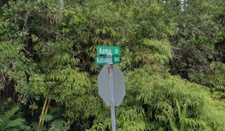 Aʻama Street Locked Down in Puna Police Activity, Reopens by Morning ...