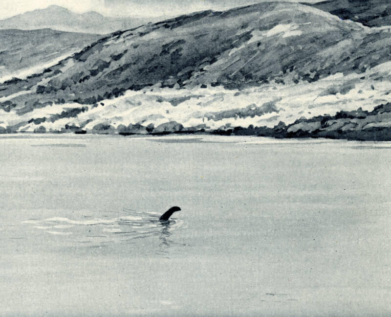 Inside The Enduring Myth Of The Loch Ness Monster And The Most ...