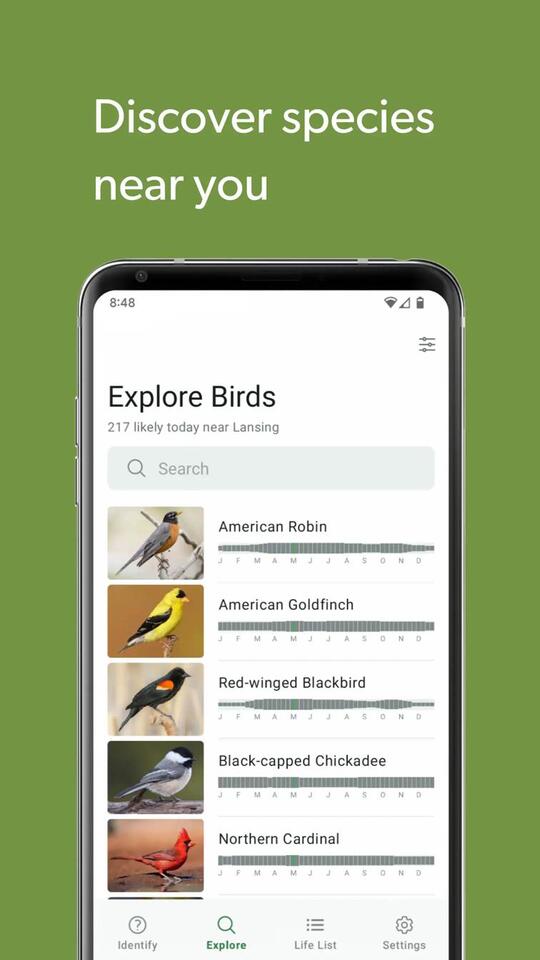 The Best Birding Apps That Help You Identify Every Bird You See - NewsBreak