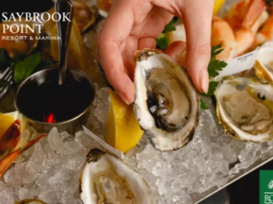 Oystahs, Right Ahead at Saybrook Point and Marina on Sunday, April 28th!