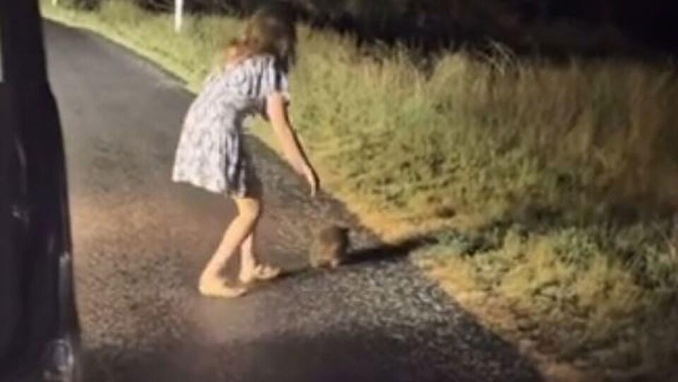 Shock moment hunting influencer Sam Jones grabs baby wombat off ...